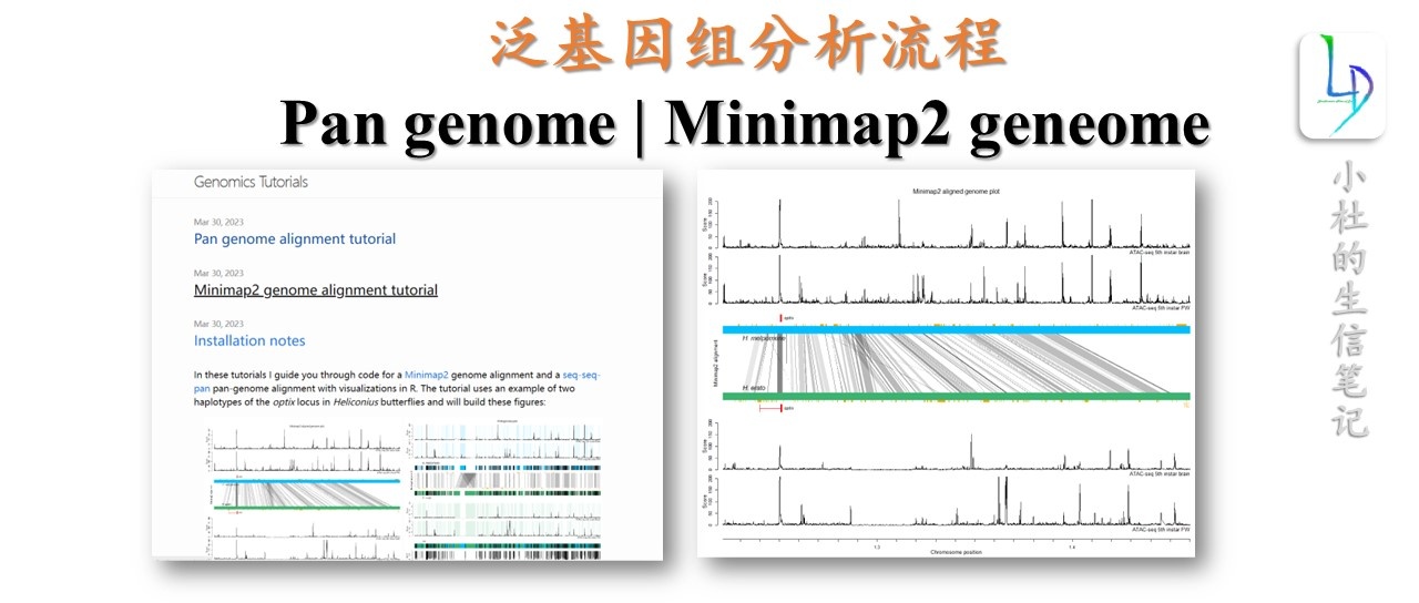 Pan-Genome Analysis Workflow | Comprehensive Tutorial -ITADN 社区
